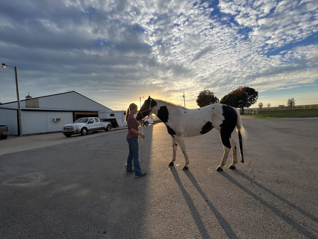 Car Insurance Calculator in Oklahoma - Zoellner Insurance Agency